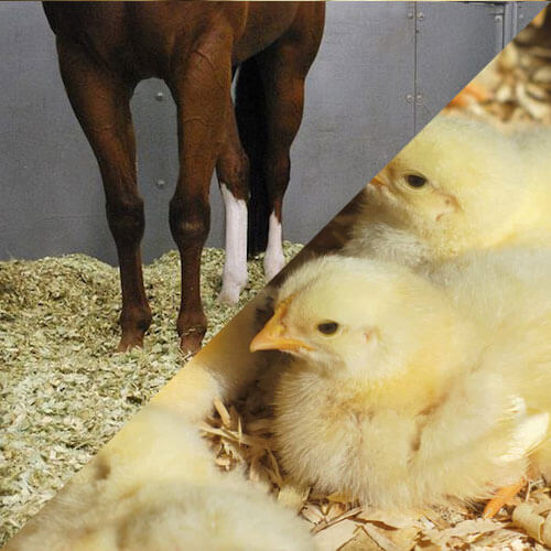 Wood Pellet & Biomass Products | High Mountain Processing