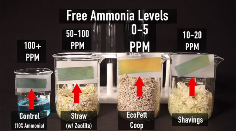 Poultry Bedding | High Mountain Processing